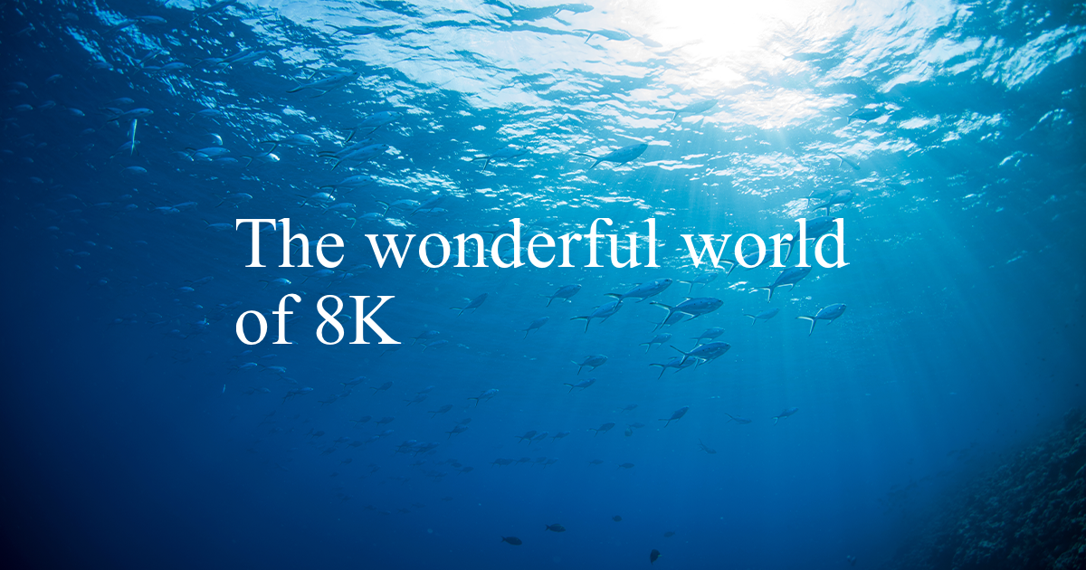The wonderful world of 8K | Our Service | NHKテクノロジーズ