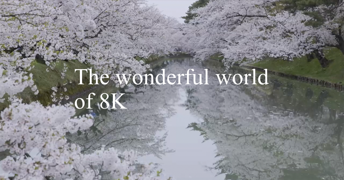The wonderful world of 8K | Our Services | NHKテクノロジーズ